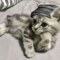 Иконка канала Paul or just Pasha