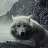 Иконка канала ALEX LIAPIN