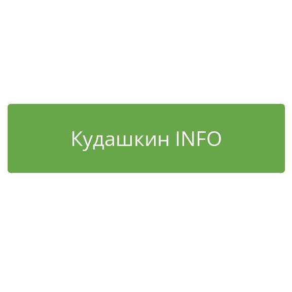 Иконка канала Kudashkin INFO