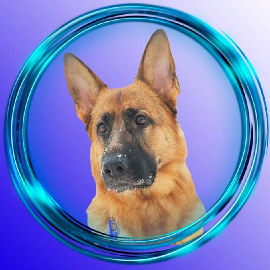 Иконка канала Neya