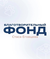 Иконка канала Фонд Стаса Еговцева