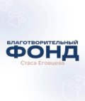 Иконка канала Фонд Стаса Еговцева