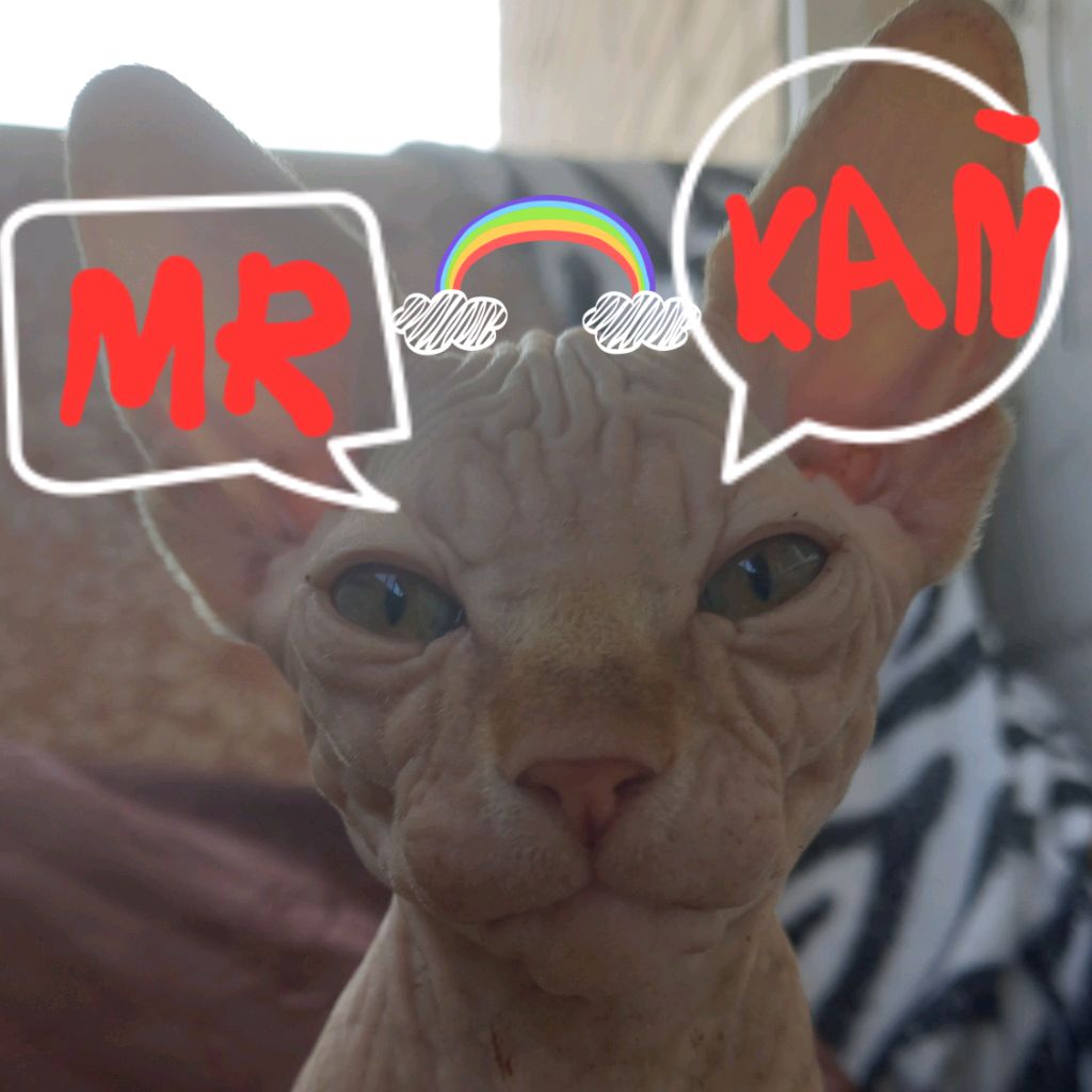 Иконка канала MR КАЙ