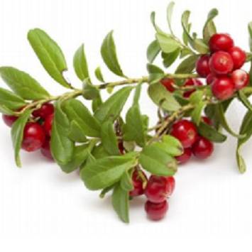 Иконка канала Сергей Денисов