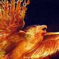 Иконка канала Phoenix