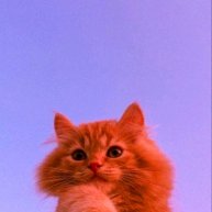 Иконка канала Лерка-Валерка 🥑