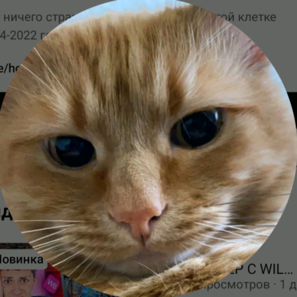 Иконка канала УРАГАН ХОКАГЕ