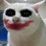 Иконка канала Lexa