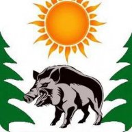 Иконка канала ЛЕСНОЙ РАЙОН