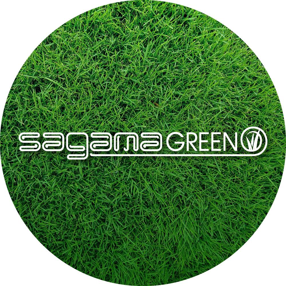 Иконка канала SagamaGreen