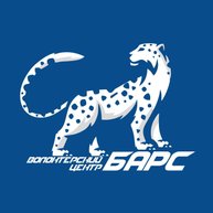 Иконка канала Барс центр