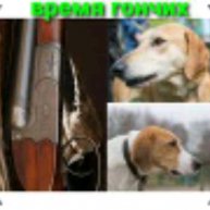 Иконка канала Время Гончих