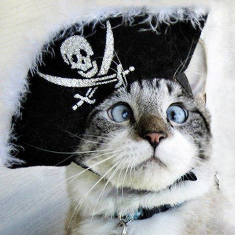 Иконка канала channel27260857