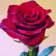 Иконка канала ЖИВЫЕ МИРЫ ПРИРОДЫ и НЕБА