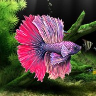 Иконка канала Грегори