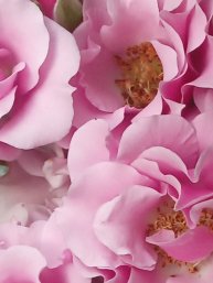 Иконка канала Просто мы, 💗 Идеи Для Дома 🌸