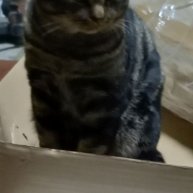 Иконка канала Марсель