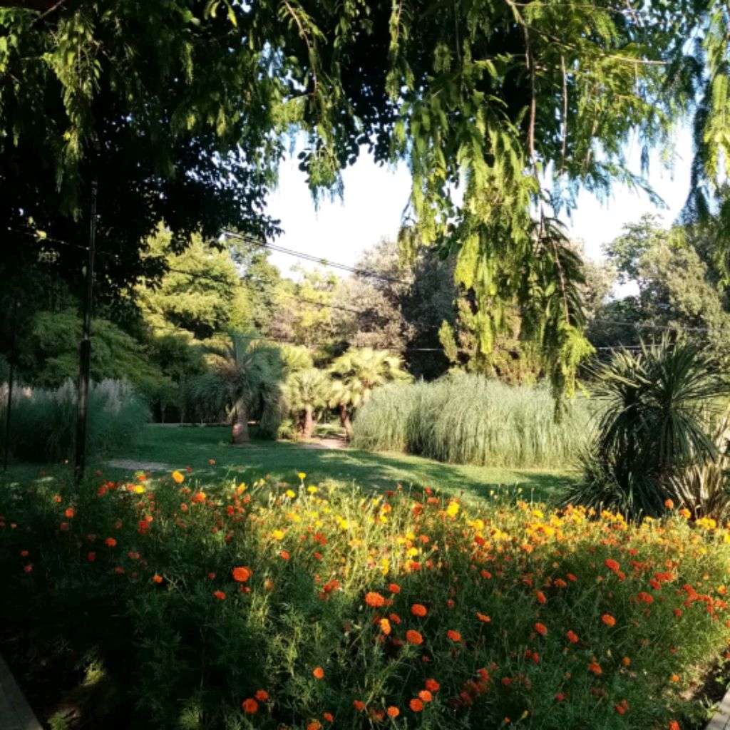 Иконка канала Юлия Лето