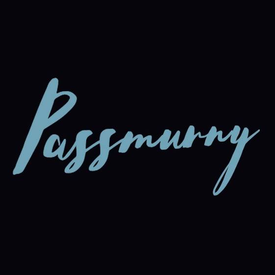 Иконка канала passmurny