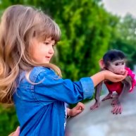 Иконка канала Приключения Ангелины и гамадрилёнка Люси