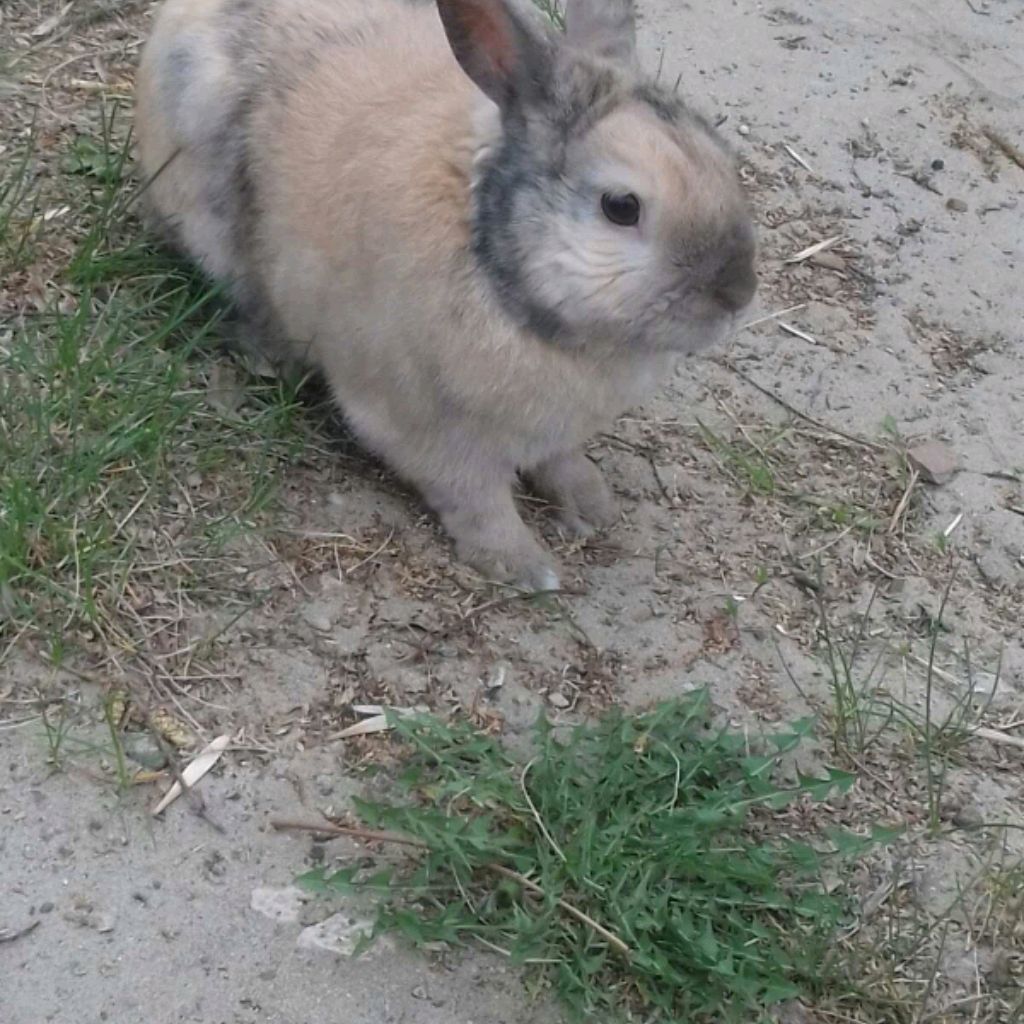 Иконка канала Андрей