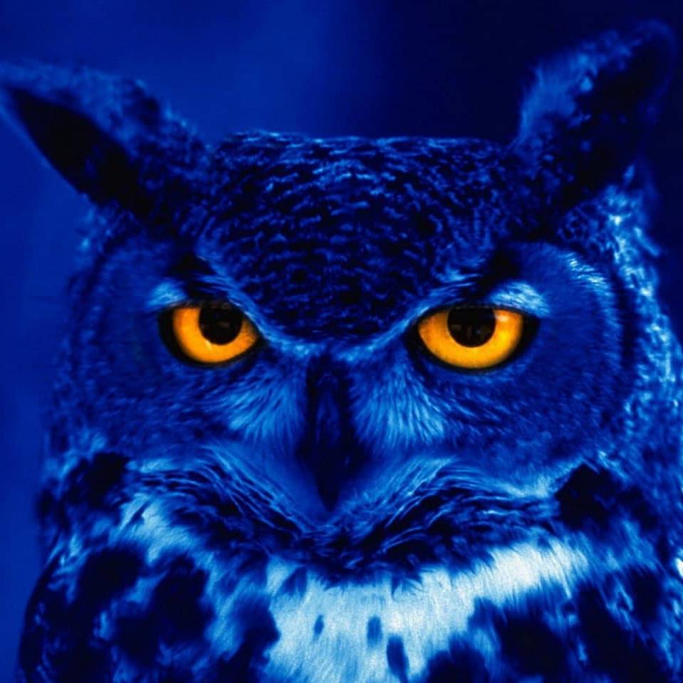 Иконка канала Дмитрий Гринёв