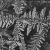 Иконка канала Материаловедение, Механические свойства