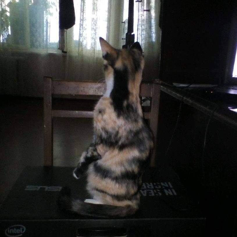 Иконка канала Крым НАШ