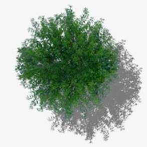 Иконка канала Хутор Ясень