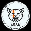 Иконка канала Varlav