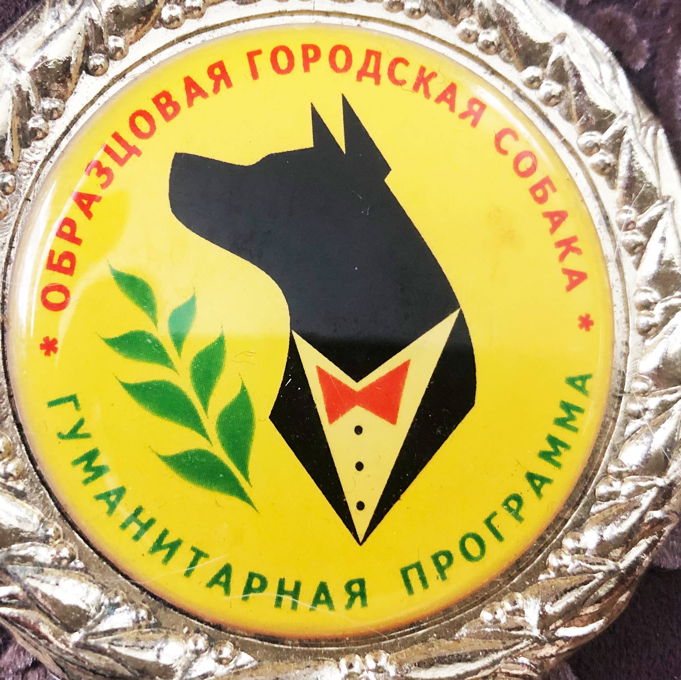 Иконка канала Тренер-собак.рф
