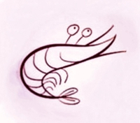 Иконка канала Нео Каридина