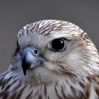 Иконка канала Александр Ya