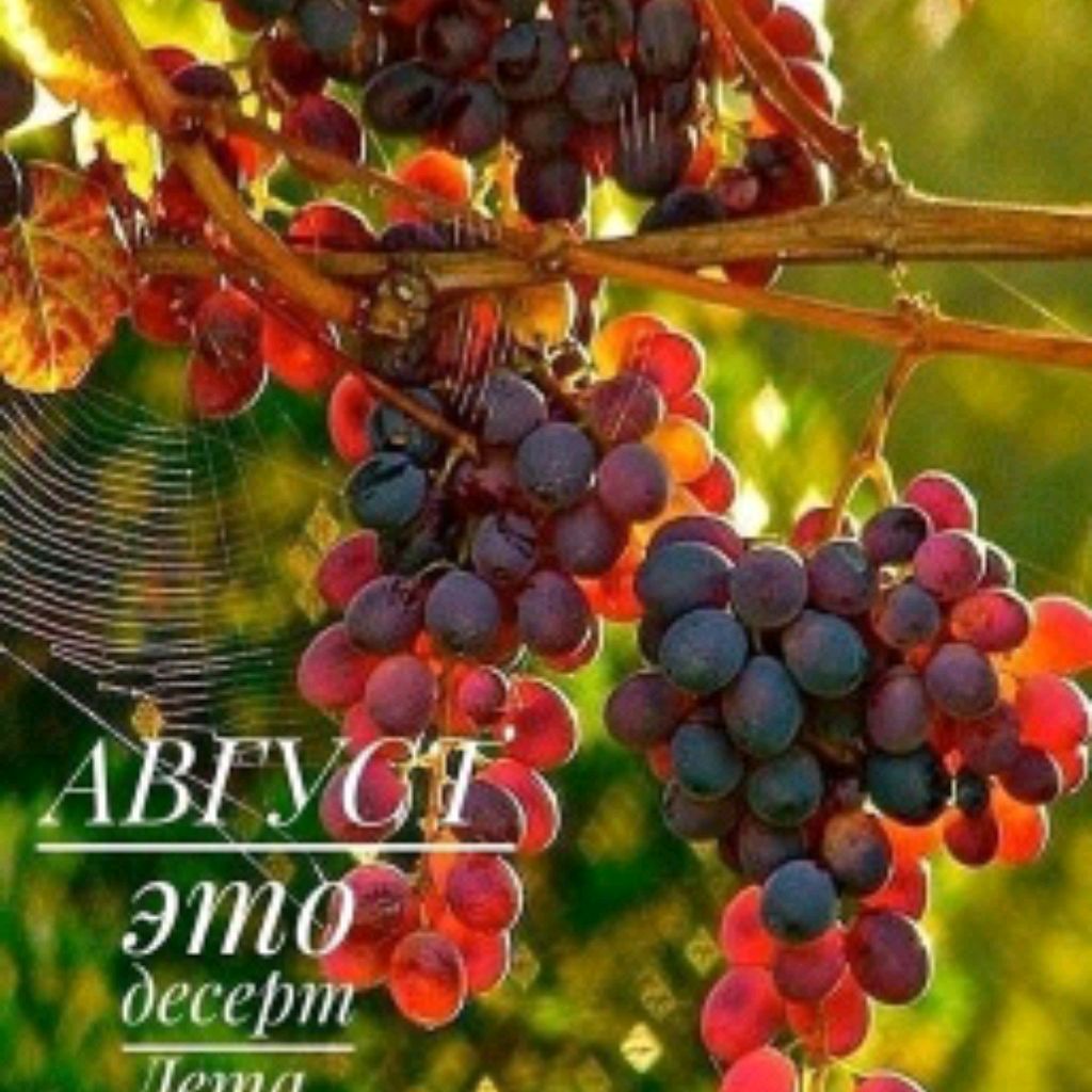 Иконка канала Я русский