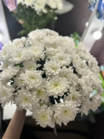 Иконка канала Полина Творчество