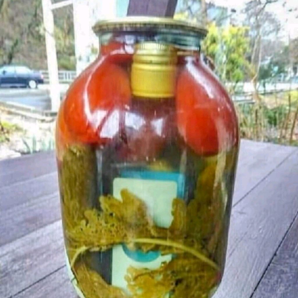 Иконка канала channel24265789