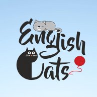 Иконка канала English Cats