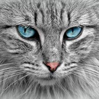 Иконка канала FAMINOR