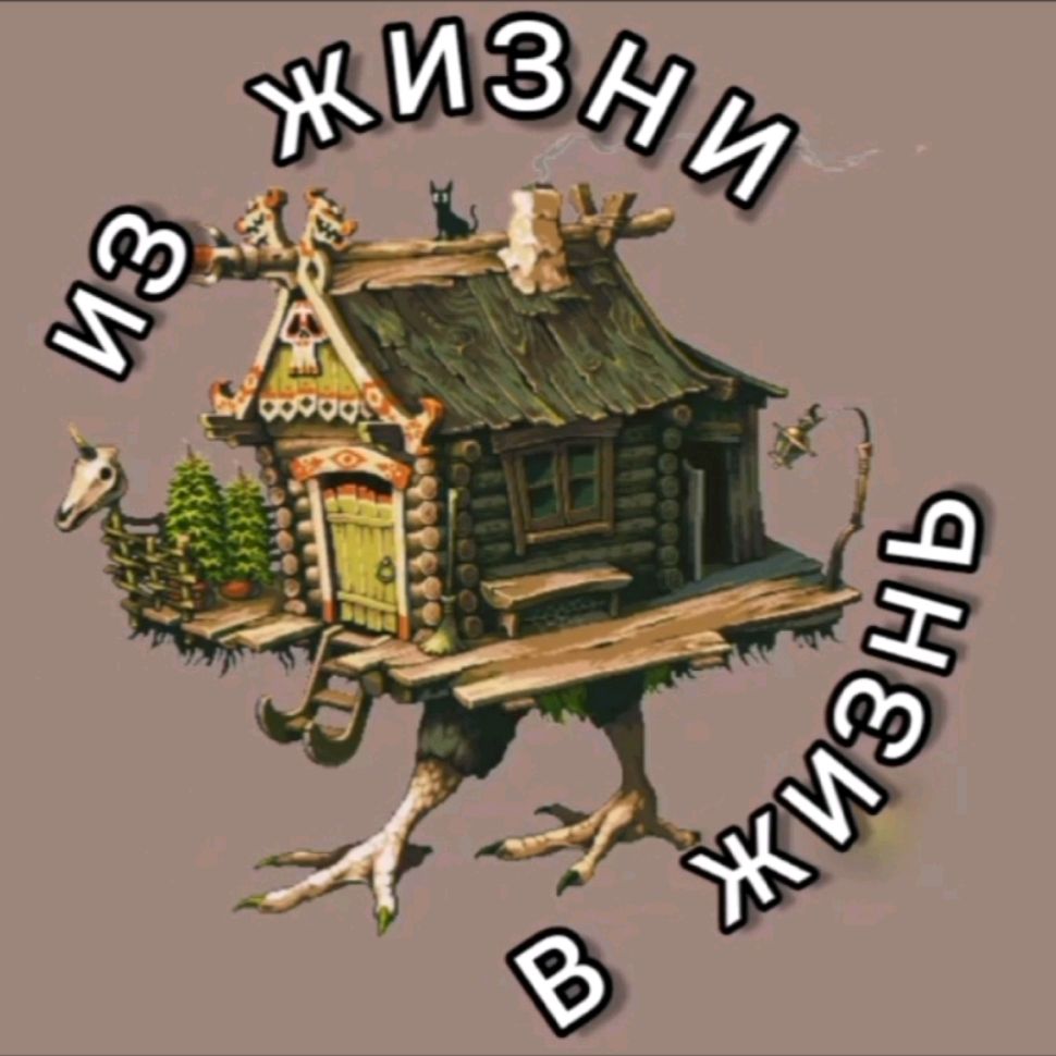 Иконка канала Из жизни в жизнь