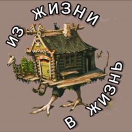 Иконка канала Из жизни в жизнь