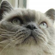 Иконка канала Со спортом на ты