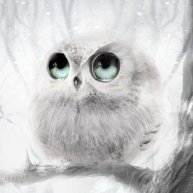 Иконка канала OkO Сахалин