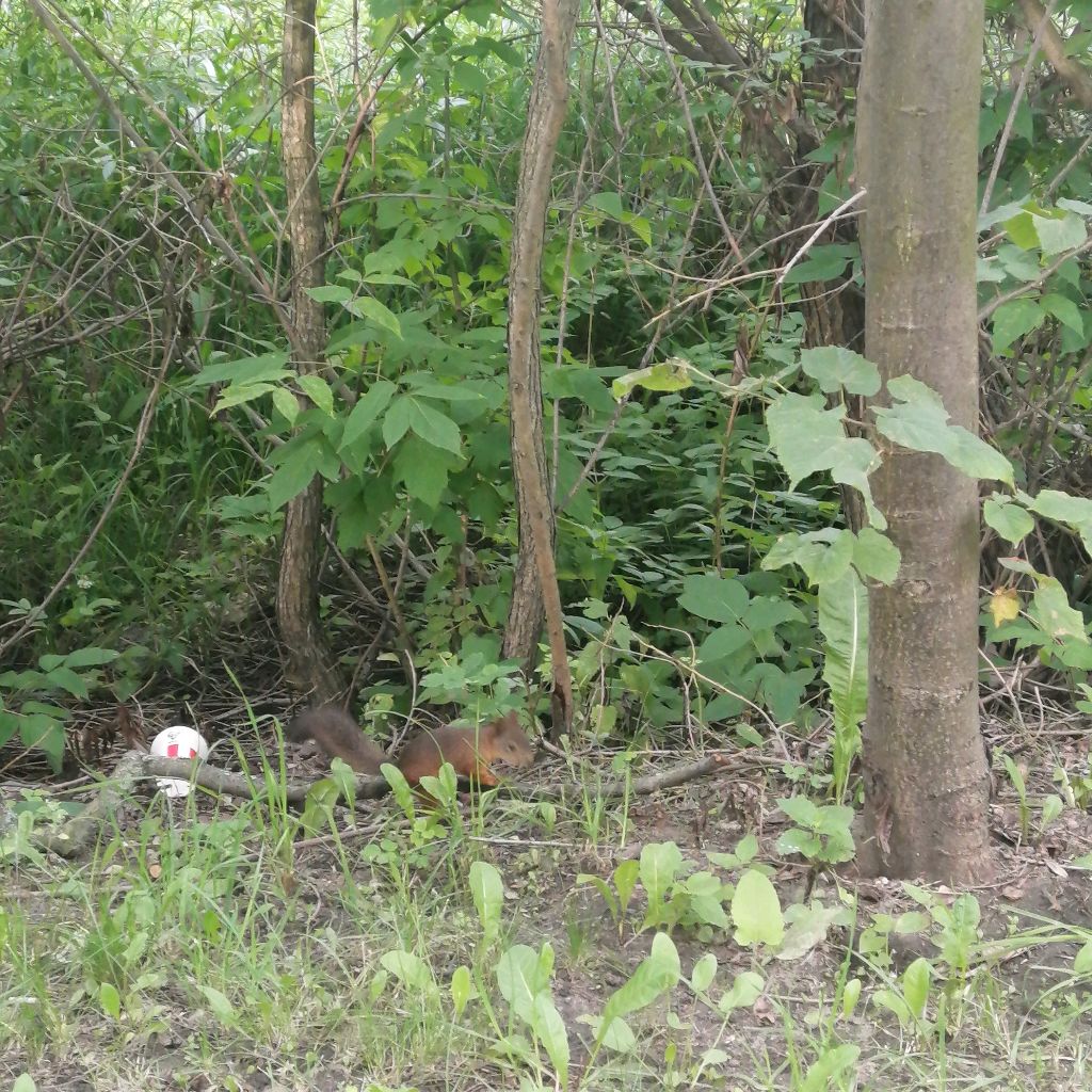 Смотреть Sjbatya на RUTUBE: 3 подборки видео – онлайн бесплатно (31698342)