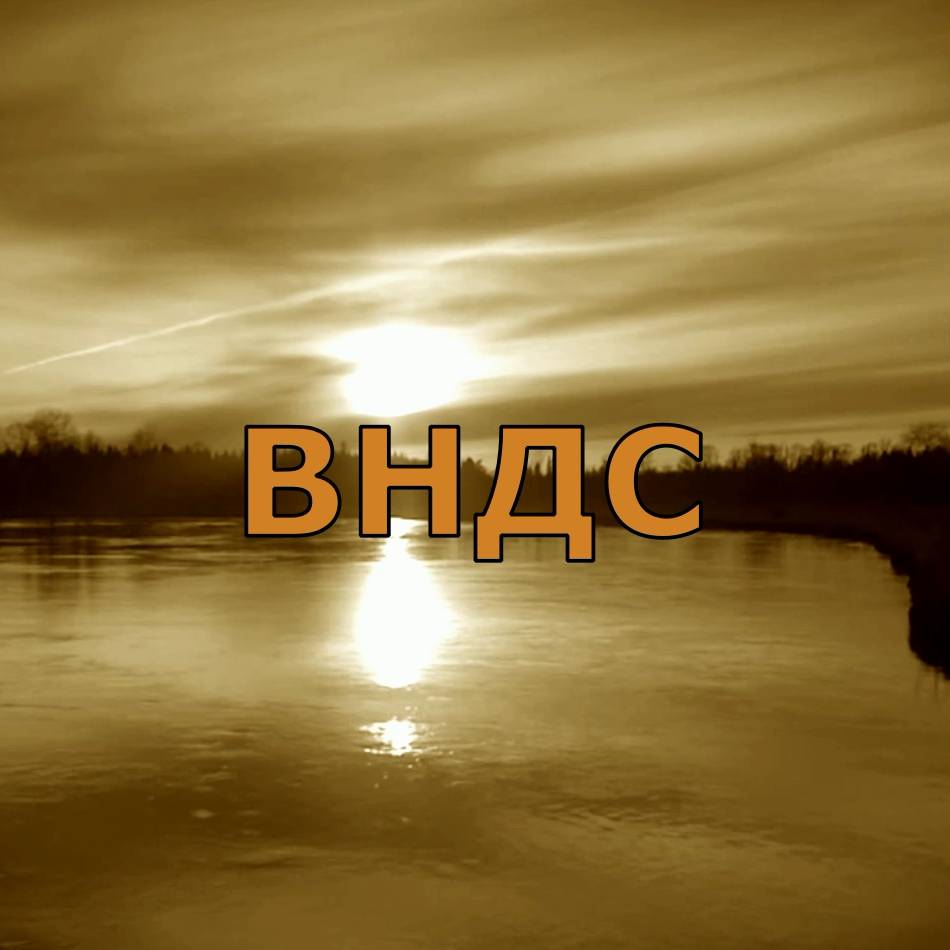 Иконка канала ВНДС