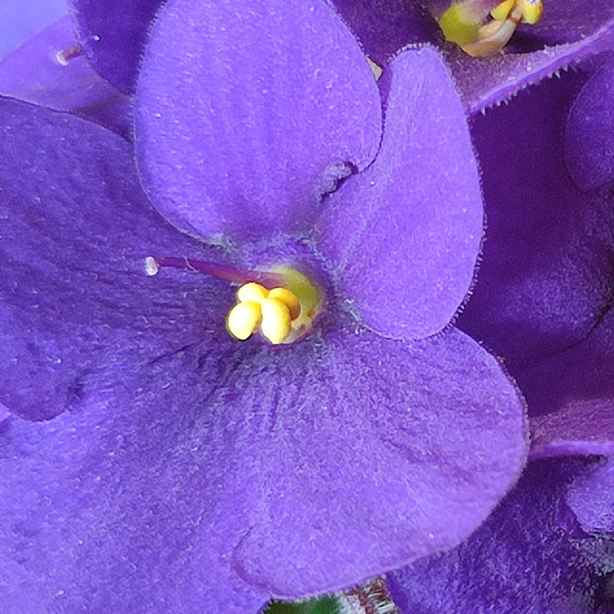 Иконка канала У Вас Все получится