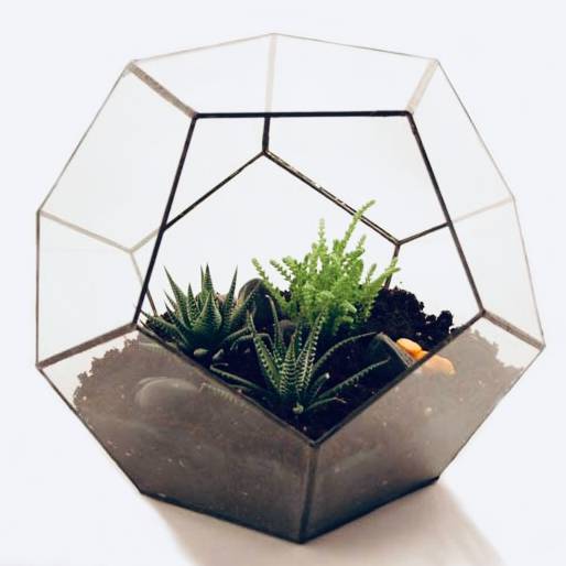 Иконка канала Наши растения