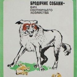 Иконка канала Против убийства детей бродячими псами