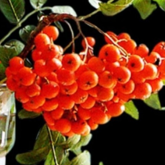 Иконка канала Женские истории Надежды Нелидовой