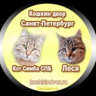 Иконка канала Кошкин двор