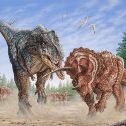 Иконка канала Кузьмич